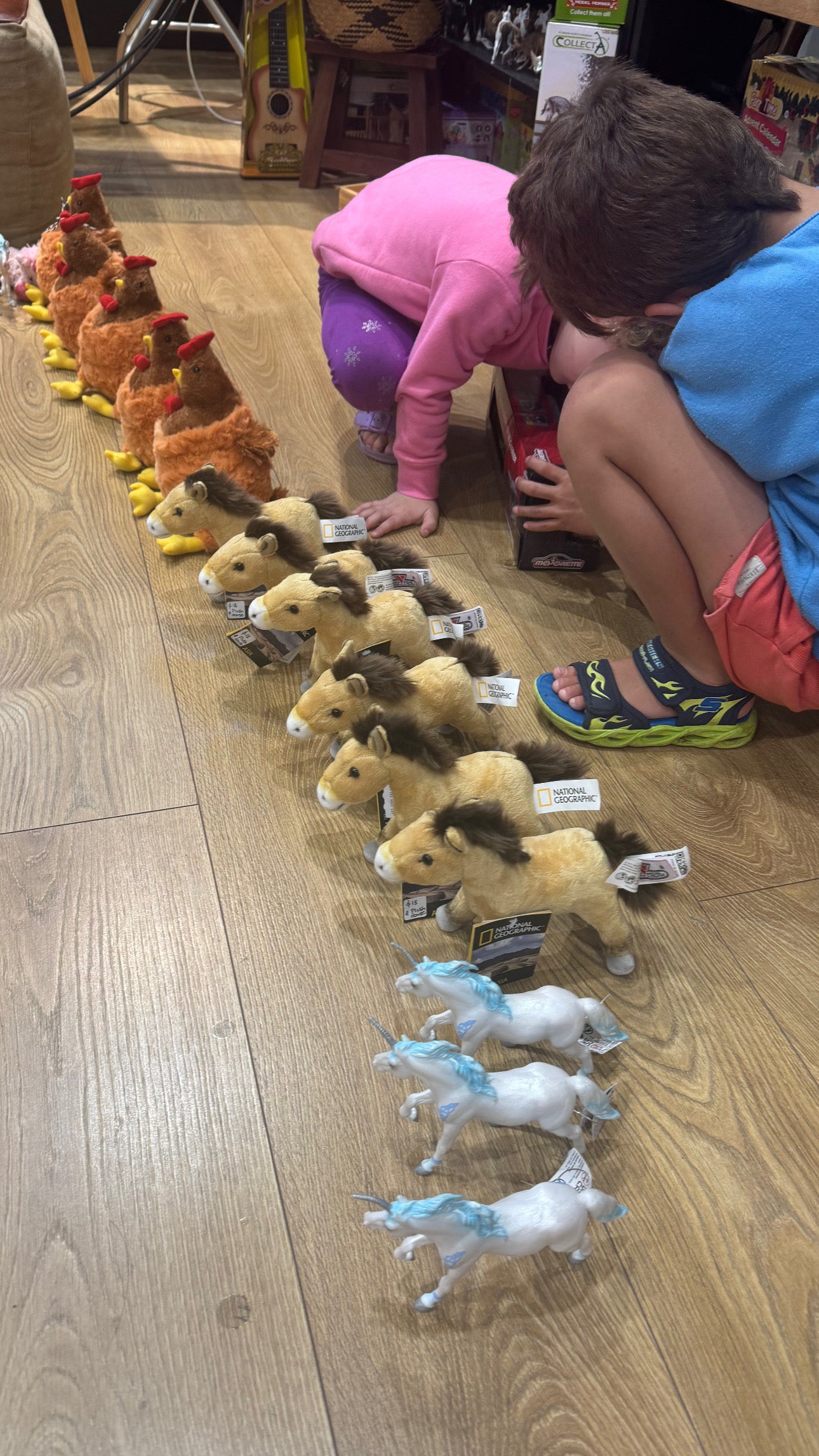 Toys – Chase & Hide